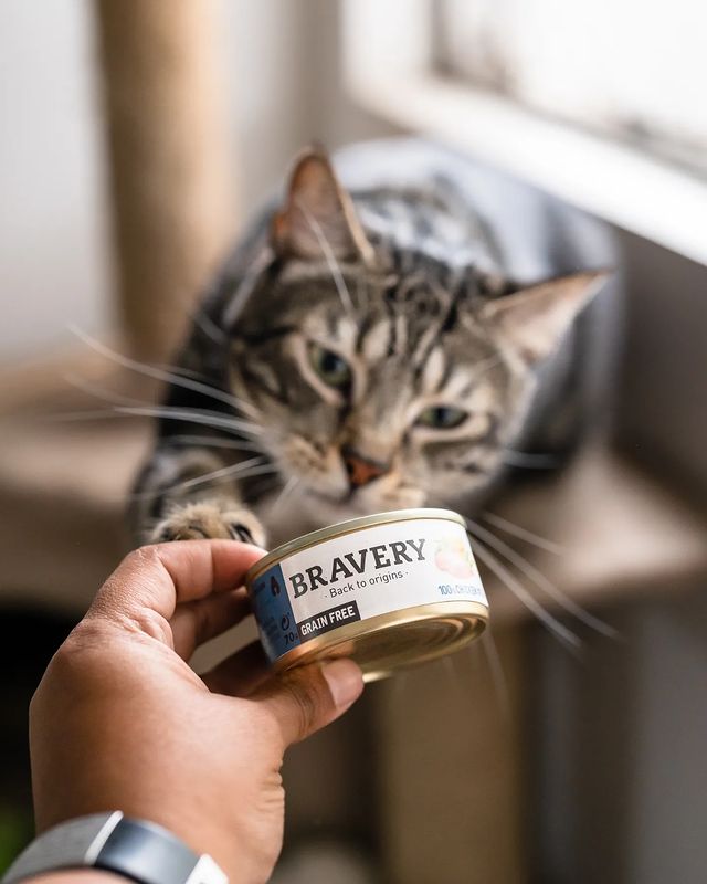BRAVERY – Bravery Pet Food