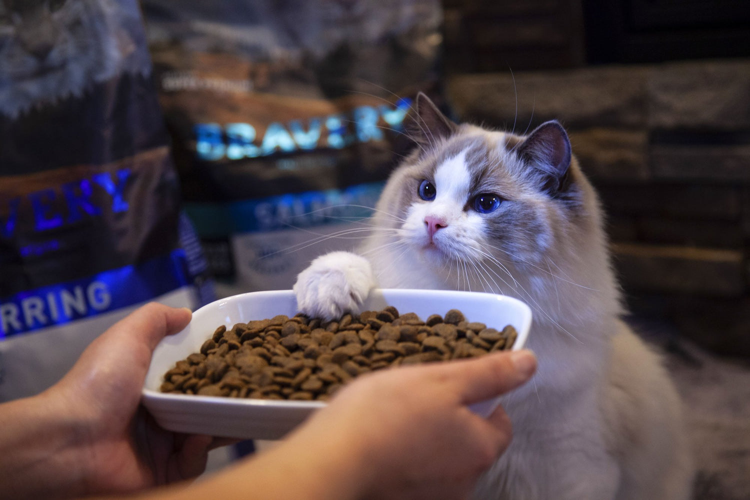 Cat – Bravery Pet Food